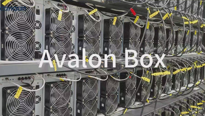 Asic Miner Container Avalon Box